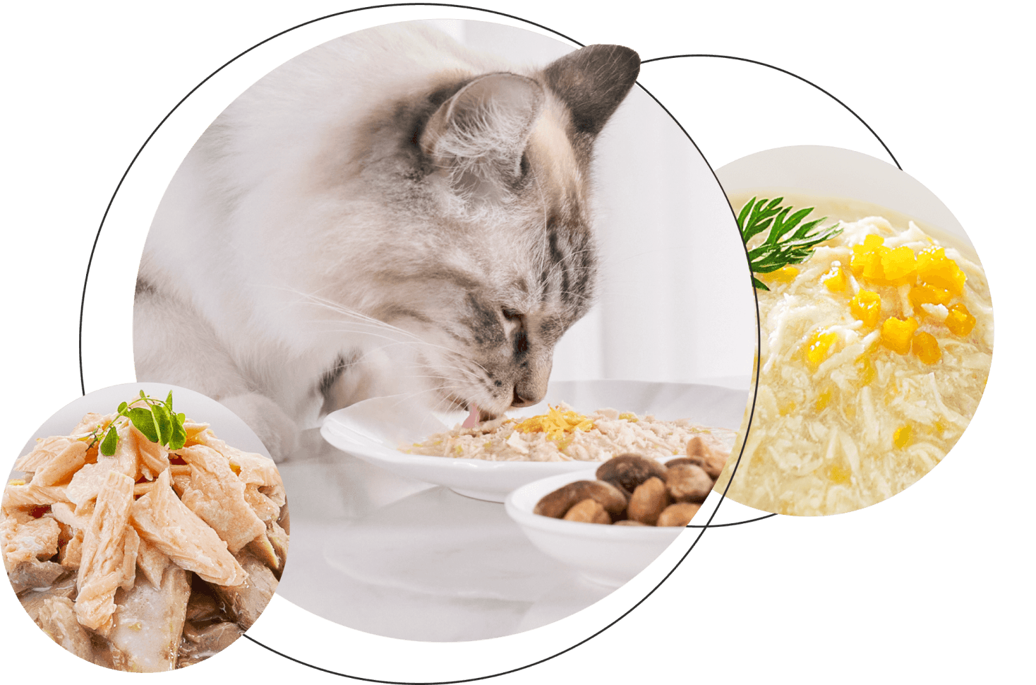 Chérie - Super Premium Natūralus Holistinis Maistas Katėms